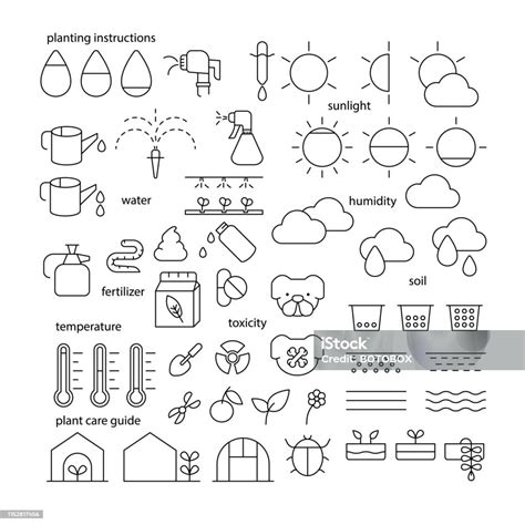 편집 가능한 스트로크 심기 명령 아이콘 집합입니다 식물 관리 가이드 기호 원 예 얇은 평면 아이콘 디자인 정원 및 식물 관리 벡터에 대한 스톡 벡터 아트 및 기타 이미지