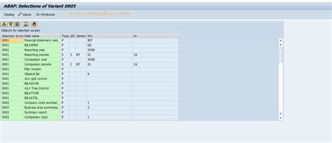 OBJ SAP Tcode C FI Year End Financial Statement