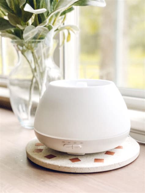 Benefits Of Using A Diffuser In The Home The Stay At Home Mom