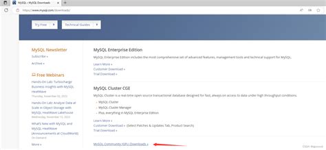 【小白专用 已验证24612】mysql 80的安装配置教程（详细）mysql安装教程82 Csdn博客