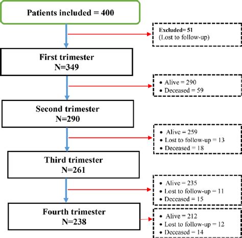 Flow Chart Showing The Numbers At Each Trimester During Twelve Months Download Scientific