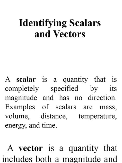 Identifying Scalars And Vectors Pdf