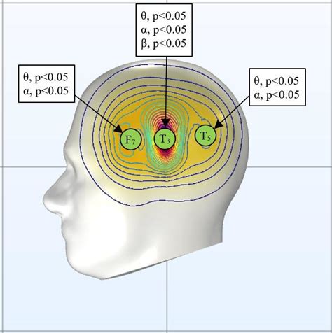 A Participant During The Experimental Procedure Download Scientific
