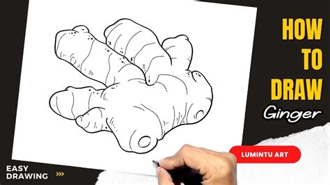 How To Draw Ginger Youtube