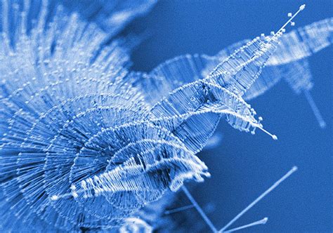 New Twist On Nanowires Scientific American