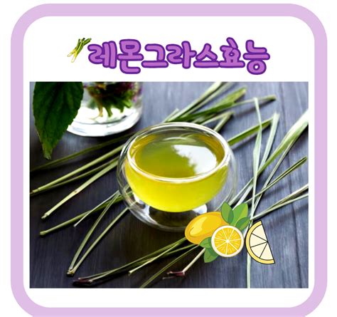 레몬그라스 효능 28가지 부작용 먹는법 레몬그라스차 Pinknamu