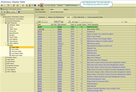 How To Explore Tables And Particular Fields Throug Sap Community