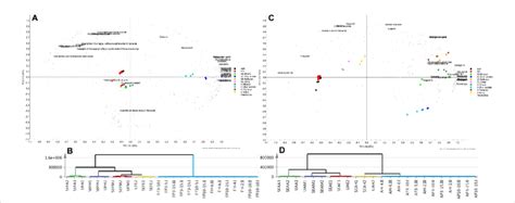 Supervised Multivariate Data Analysis Based On The Esi Ims Qtof Mse Download Scientific Diagram