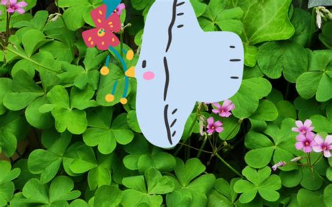 背对我的鸟儿扑棱棱飞走了 哔哩哔哩