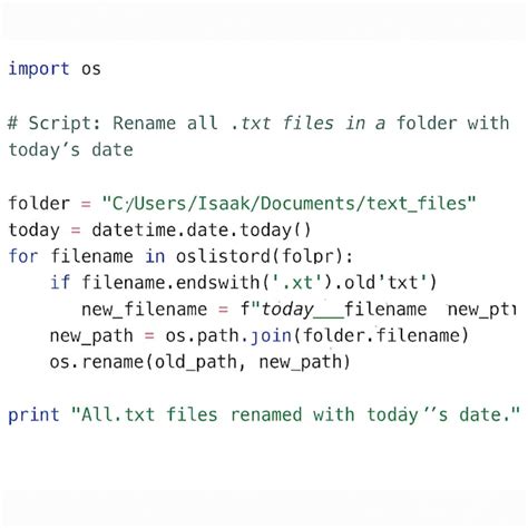 Create A Custom Python Script To Automate Your Task By Isaakaksion Fiverr
