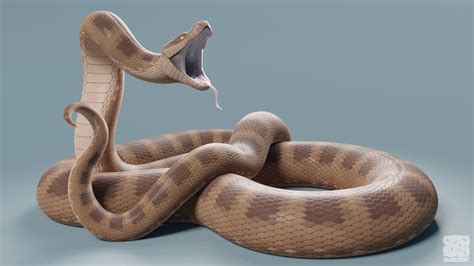 Sharkstuff On Twitter Rock Python One Of 3 5 Textures My Python Base Will Come With