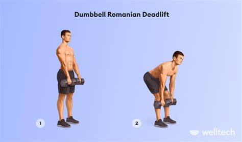 8 Dumbbell Glute Exercises For A Rounder Butt Welltech