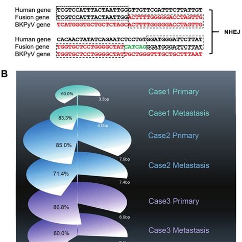 Patterns Of Viral Integration A Two Viral Integration Patterns Were Download Scientific