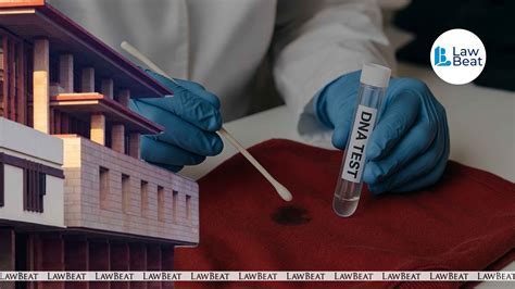 Delhi Hc Allows Dna Testing At Stage Of Final Arguments