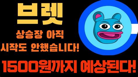 브렛 코인 올해 말에 1500원까지 갈거다 시장의 낙관적 전망 믿어도 되는 걸까 낱낱이 파헤쳐 봅시다 Youtube