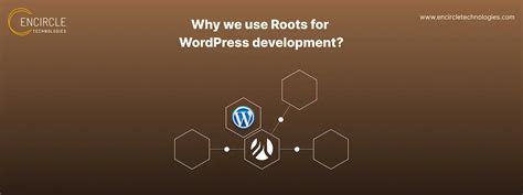 Why We Use Roots For Wordpress Development