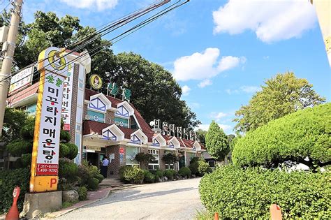 경기도 안산시 산골미꾸라지매운탕 경기도 안산시 산골미꾸라지매운탕