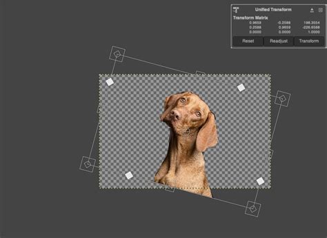 How To Rotate Transform An Image In GIMP Complete Guide Edits 101