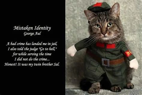 15 Funny Brother Poems That Express Love And Care