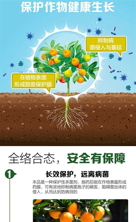 80 代森锰锌包邮 大丰收农资农药杀菌剂果树农药炭疽病杀菌剂农用 淘宝网