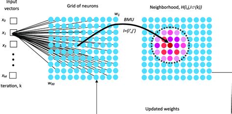 Self Organizing Map Learning Process The 2 Dimensional Grid Of Neurons Download Scientific