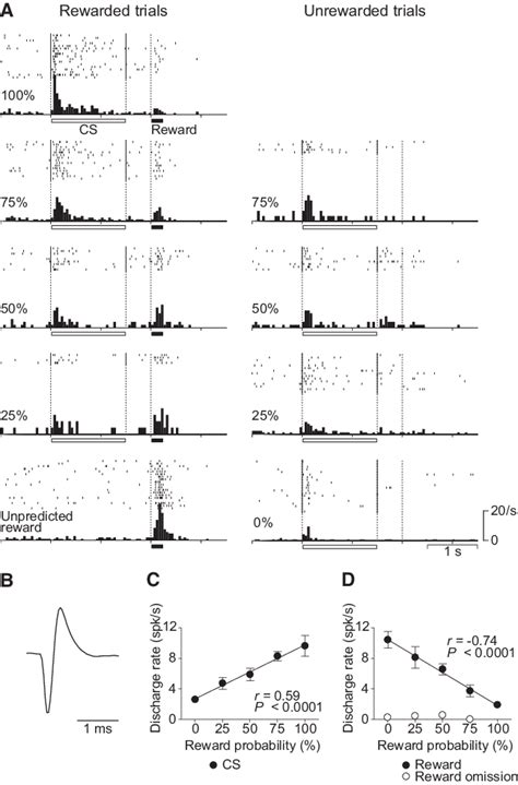 Activity Of A Representative Rpe Coding Striatal Neuron A Rasters And