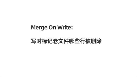 大数据 apache paimon v0 9最新进展 个人文章 segmentfault 思否