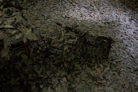 სახლი არის ჩემი მეზობელი ნიკა ქუთათელაძის გამოფენა Artbeat ში