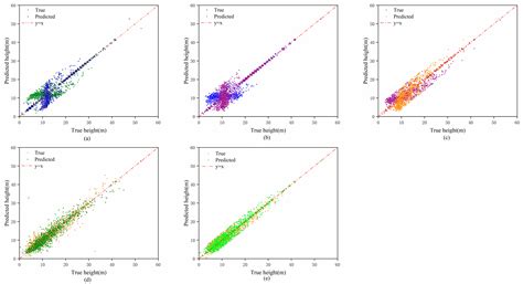 Forest Canopy Height Retrieval Model Based On A Dual Attention