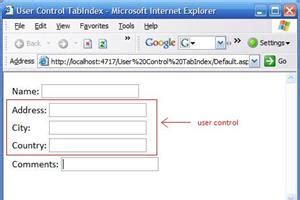 Using A Tabindex With A Usercontrol Containing Net Controls Codeproject
