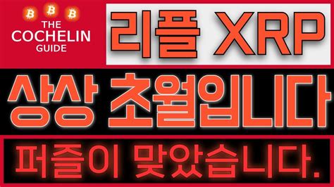 엑스알피리플 긴급속보 상상 초월입니다 모든 퍼즐이 맞았습니다 리플전망 리플코인 리플코인전망 엑스알피전망 엑스알피코인 Youtube