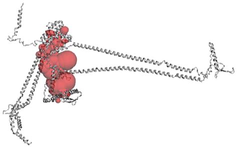 The Binding Pocket Of 3d Structure Pfap2 I As Computed By Castp Download Scientific Diagram