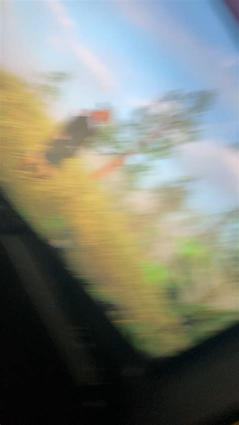 Is this like everyone else’s I have the Vg28UQL1A : r/RedDeadOnline
