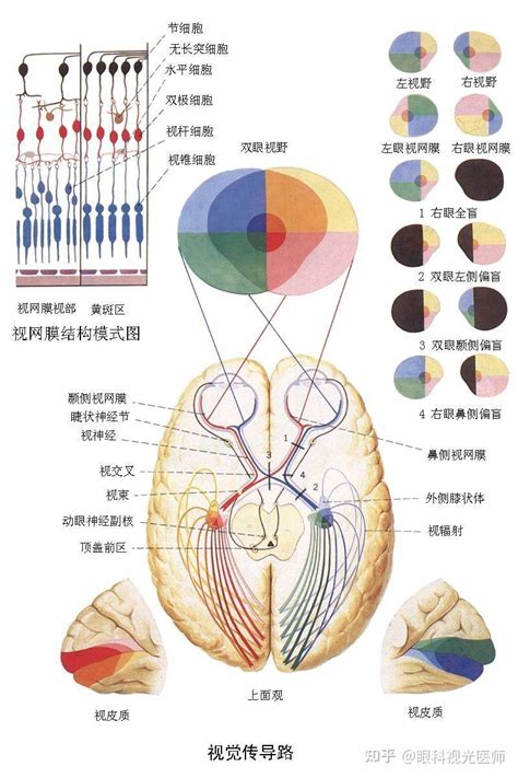 视觉 知乎