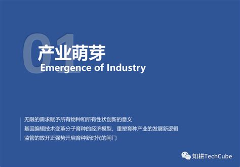 植物基因编辑育种