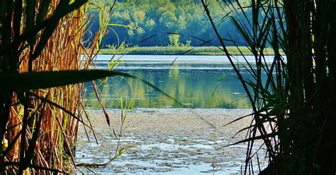 Mendon Ponds Park In