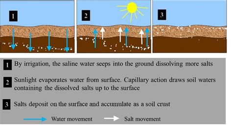 410 Soil Chemistry Geosciences Libretexts