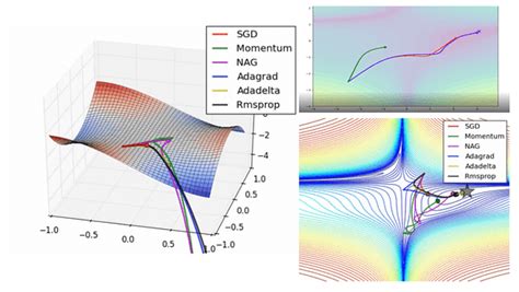 Fraidoon Omarzai On Linkedin Common Optimization Algorithms
