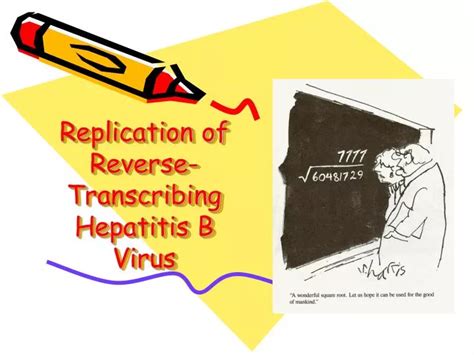 Ppt Replication Of Reverse Transcribing Hepatitis B Virus Powerpoint
