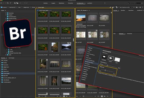Adobe Bridge Công Cụ Quản Lý Tài Nguyên Mạnh Mẽ