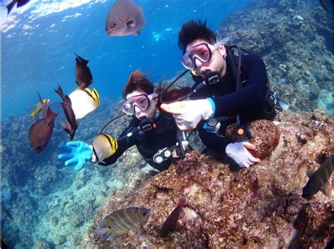 오키나와 여행의 옵셔널 투어는 무엇이 좋은가 인기 랭킹・추천 체험 투어 플랜을 철저히 소개 Activity Japan