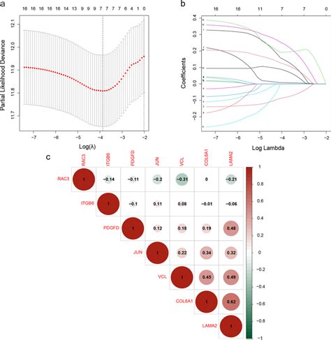 Lasso Cox Regression Analysis A Line Graph Of Regression Coefficients