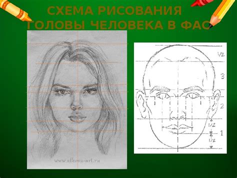 Презентация по изобразительному искусству Портрет Конструкция головы человека и её основные