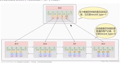 Mysql学习day19——索引的数据结构 Toy模板网