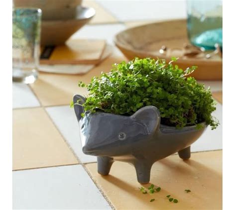 Простой предмет в не простых вариациях или Новый взгляд на цветочные горшки Идеи и вдохновение