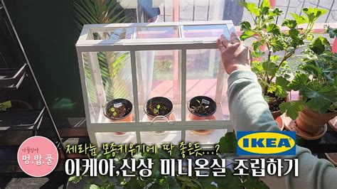 이케아 신상품 미니온실 조립하기 이케아원예용품 Youtube