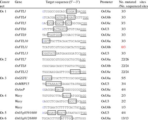 Summary Of The Binary Constructs Target Sequences Of The Genes And Download Scientific