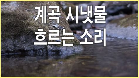 자연의소리 계곡 시냇물 흐르는 물소리 동영상 명상 힐링음악 Youtube