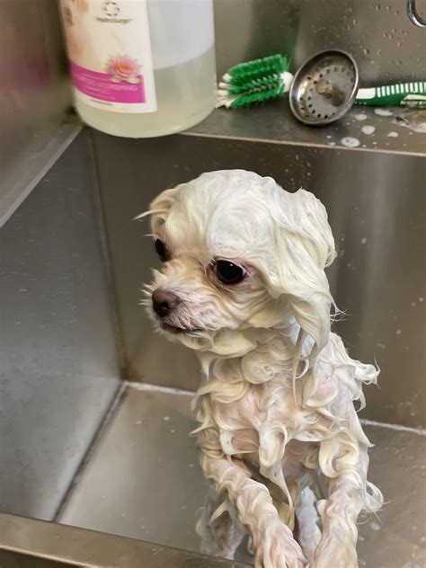 Its Bath Time R Aww