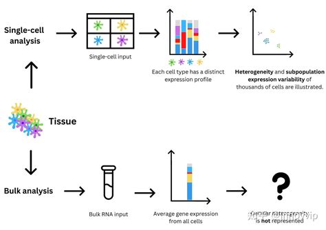 单细胞rna测序的发展 从单细胞rna测序 Scrna Seq 到活细胞测序 Live Seq 知乎